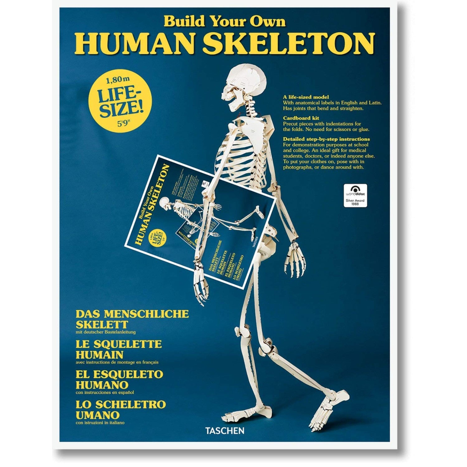 Build Your Own Human Skeleton – Life Size! – Atomic Books