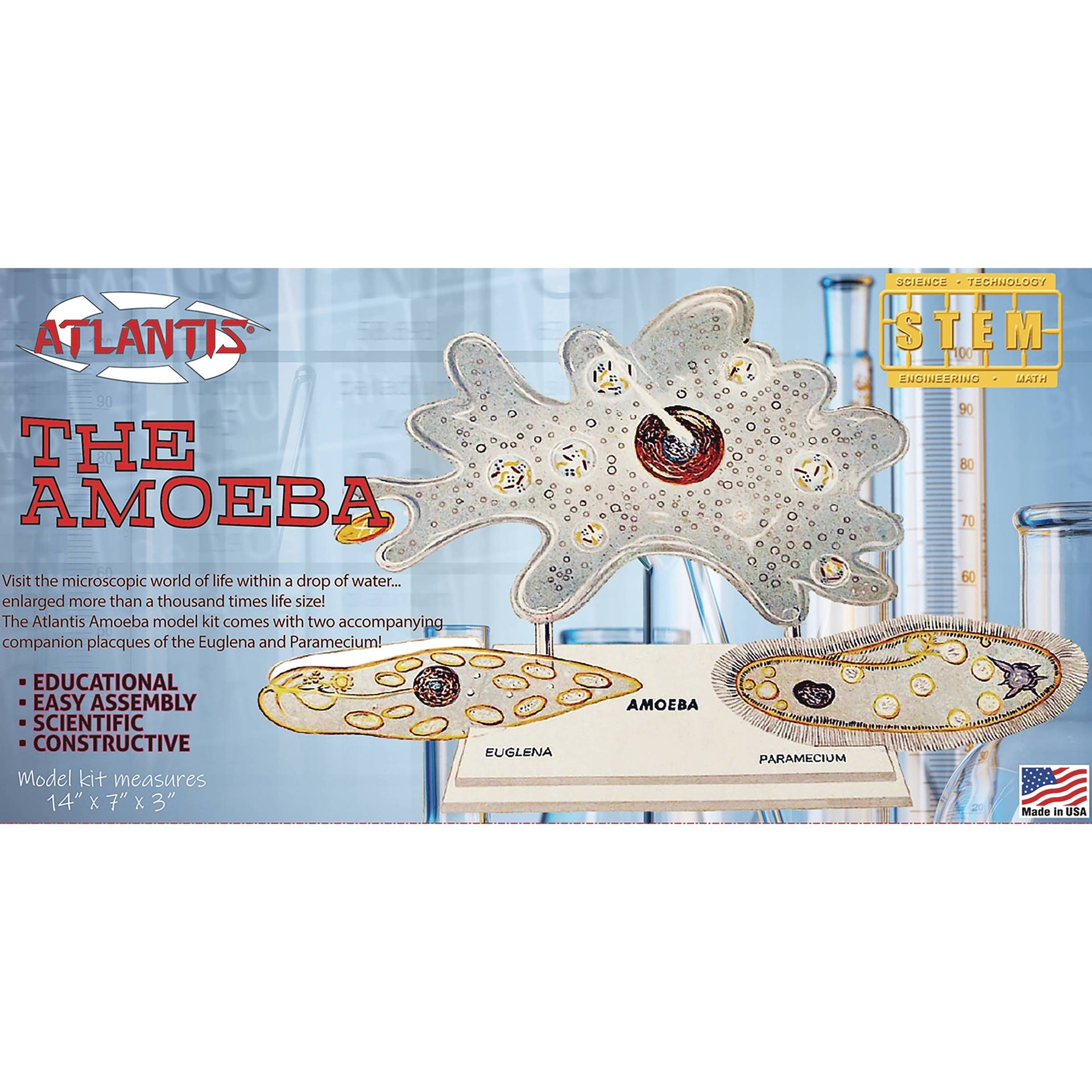 The Amazing Amoeba Educational Model Kit – Atomic Books