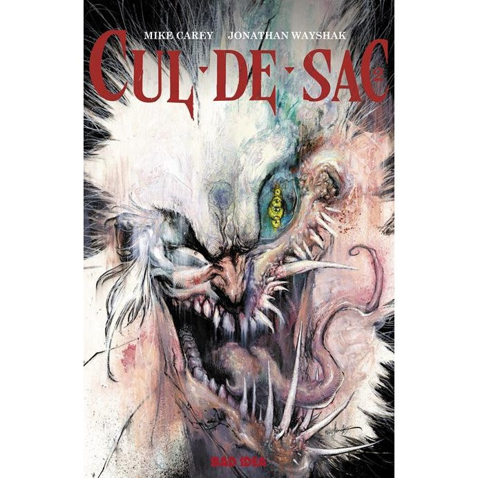 Cul-De-Sac #2 – Atomic Books
