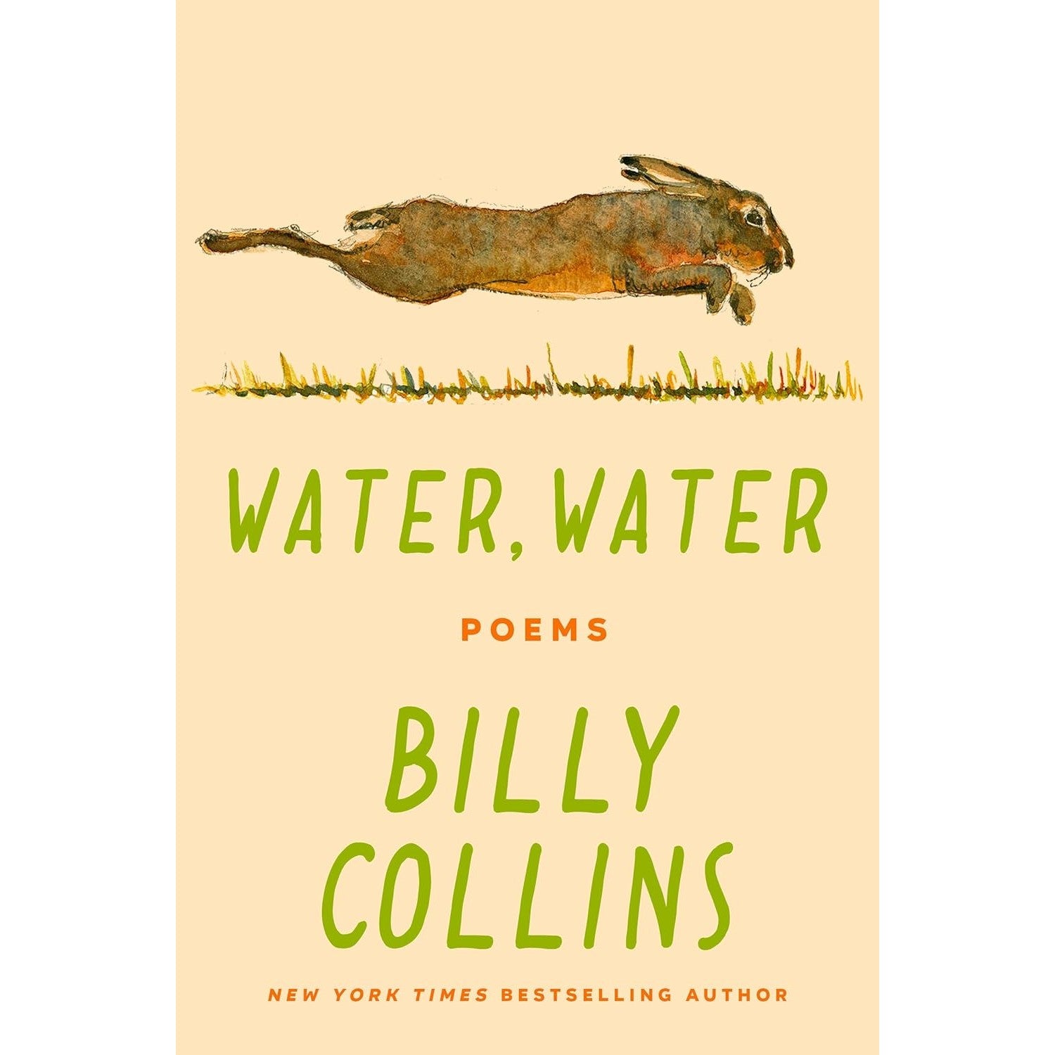 Water, Water: Poems – Atomic Books